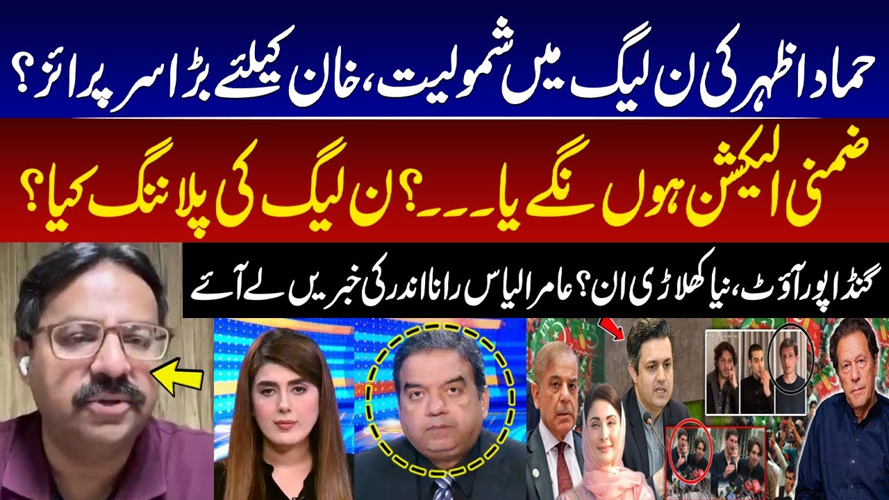 Hammad Azhar Contest Elections on PMLN Ticket? | Truth Behind Leaving ...