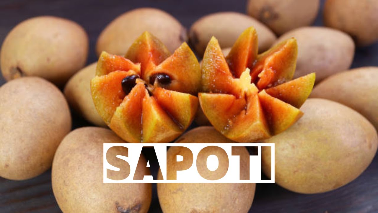 Os 12 BENEFÍCIOS da FRUTA SAPOTI para saúde | Dicas de Saúde - YouTube