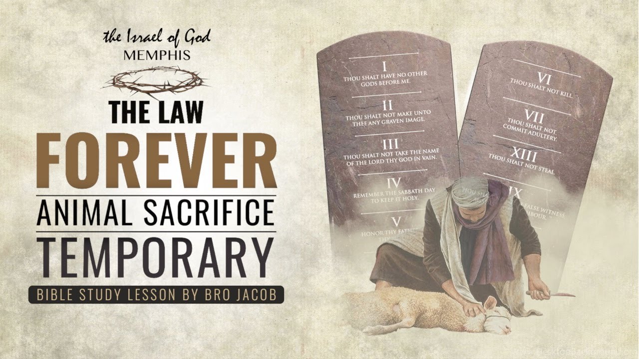 IOG Memphis - "The Law Forever, Animal Sacrifice Temporary" - YouTube