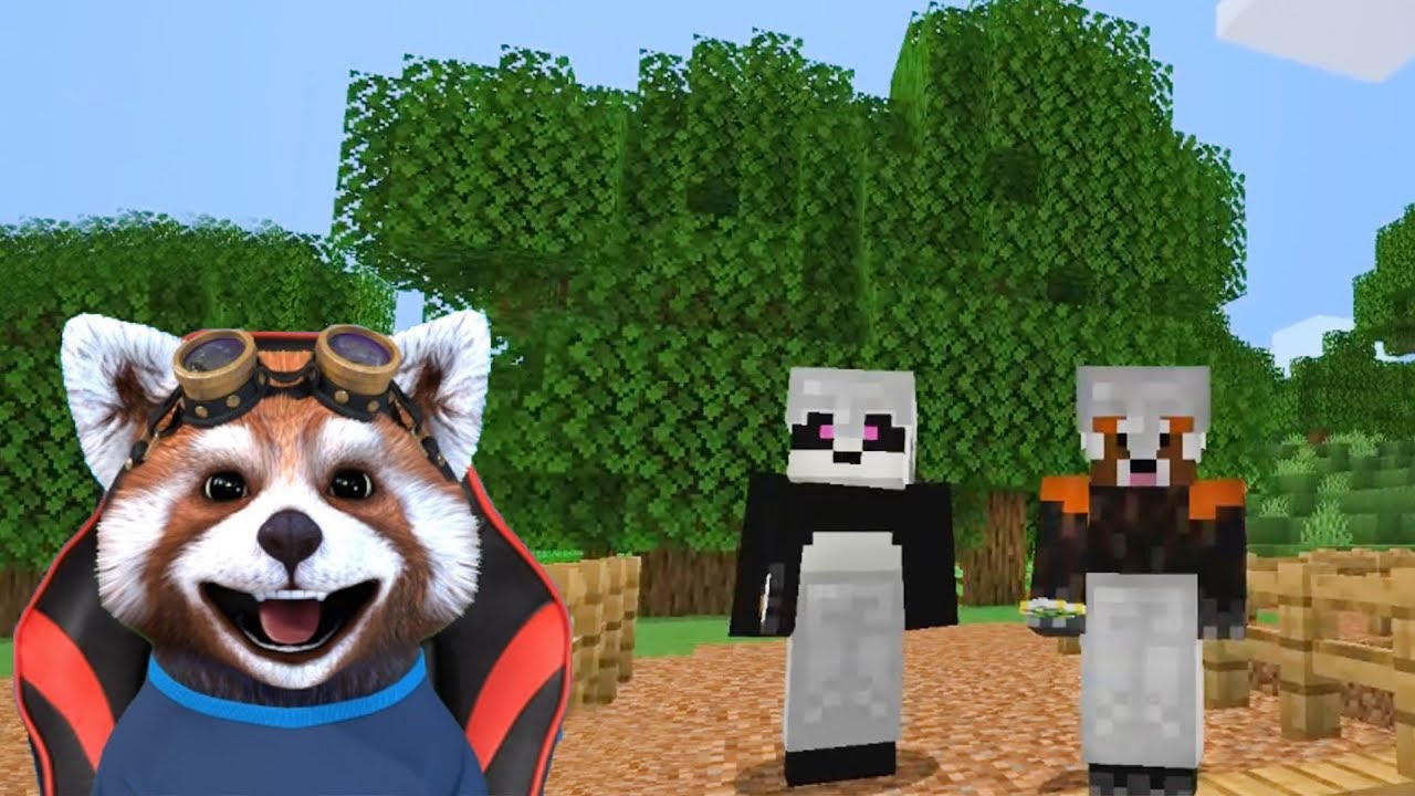 AM PLANTAT CEL MAI MARE COPAC DIN MINECRAFT | Minecraft SMP - YouTube
