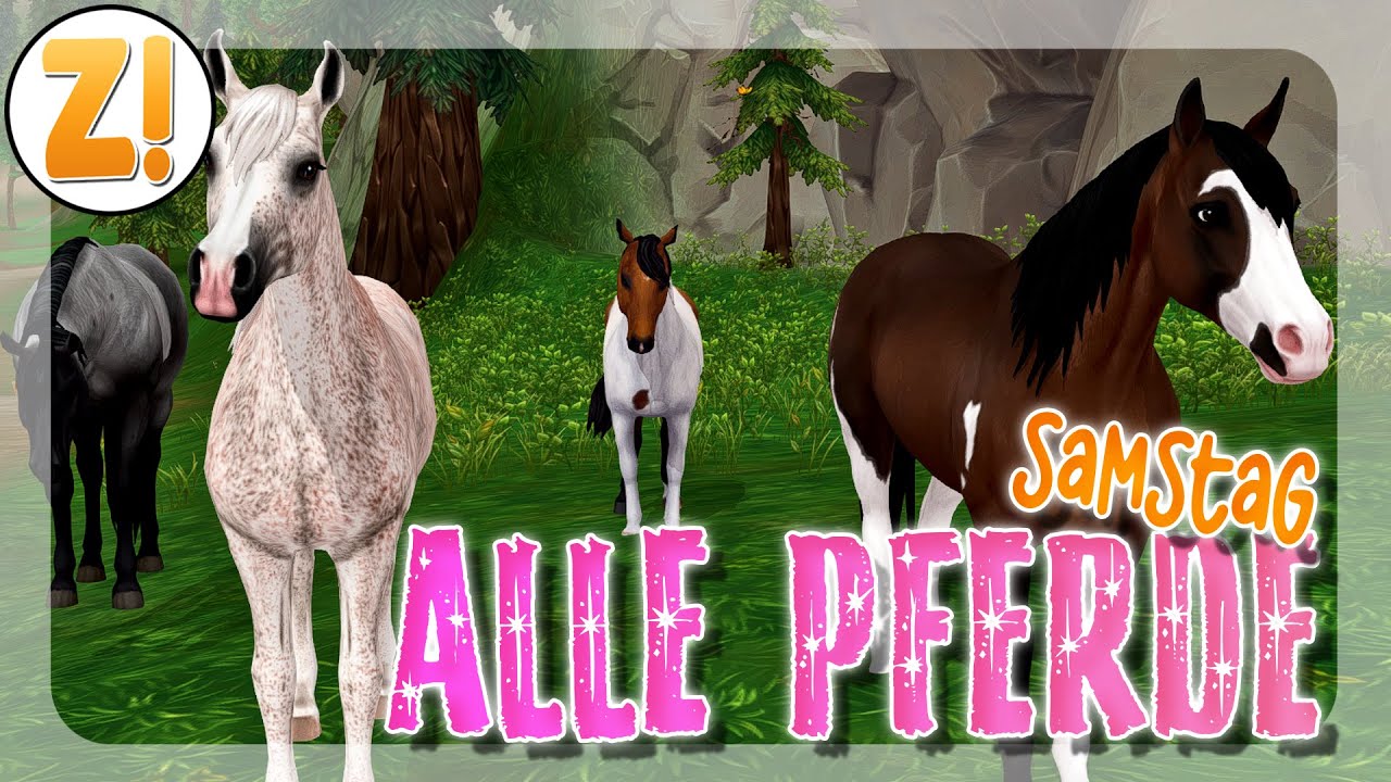 ALLE 4 PFERDE SAMSTAG 🐴 WESTERN CAMP 2023 GUIDE | Star Stable [SSO ...