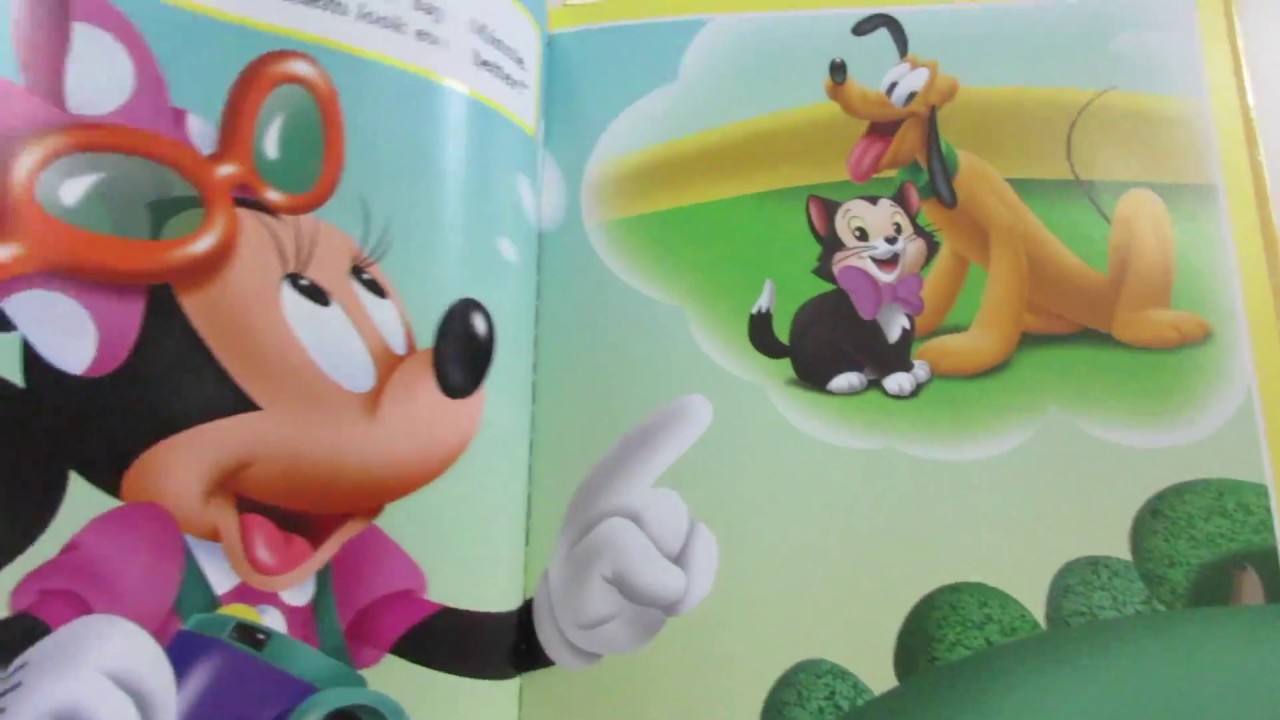 Disney MINNIE Me Reader || PICTURE PERFECT PETS - YouTube