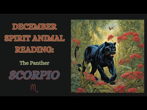 THE PANTHER- scorpio- Spirit Animal of the Month - DECEMBER Reading ...