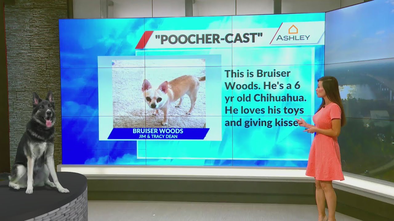 Monday's "Poocher-Cast" with Bruiser Woods - YouTube
