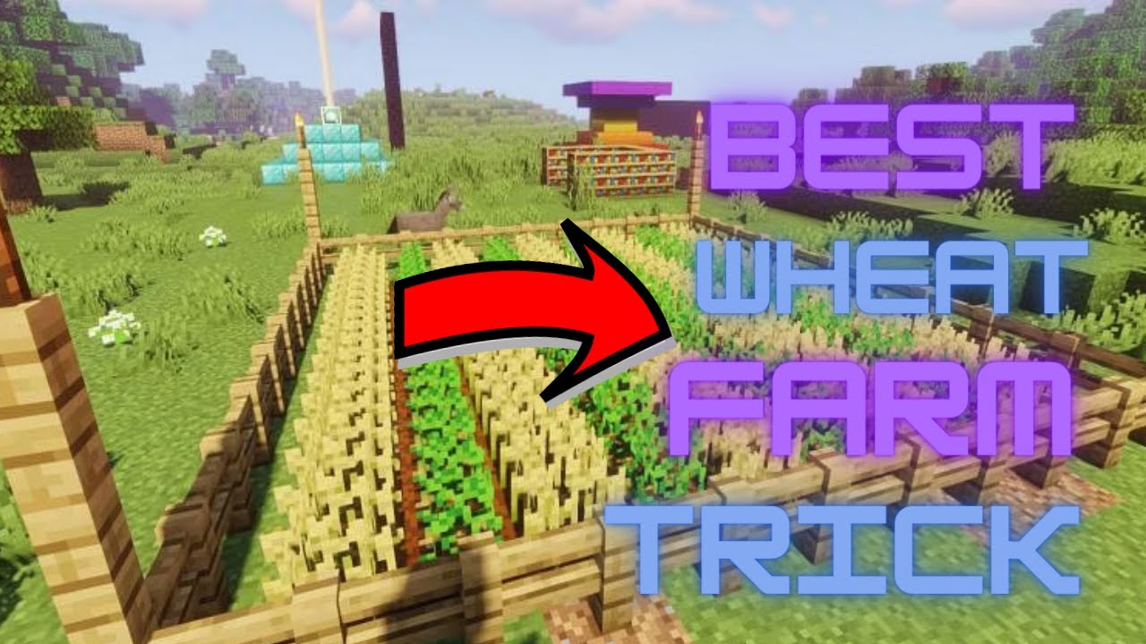 |BEST| WHEAT FARM |TRICK| 😱 🔥 - YouTube