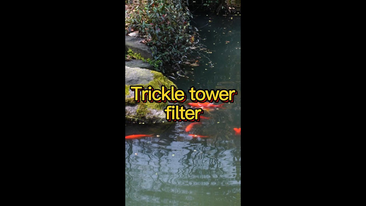 trickle tower filter for koi ponds - YouTube
