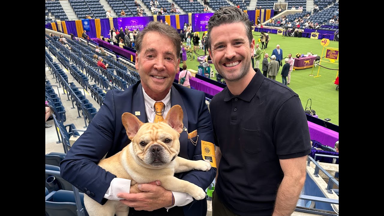 Westminster Dog Show behind-the-scenes tour - 'Good Dog TV' - YouTube