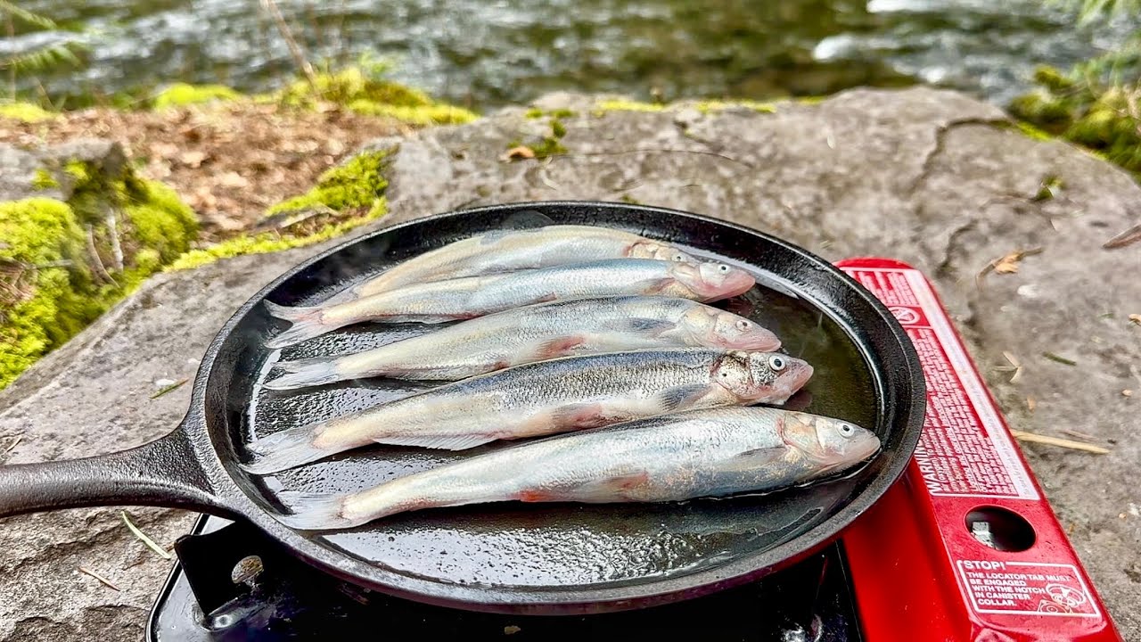 Oregon Sandy River Smelt Run 2025 - Simple and Tasty Way to Cook It ...