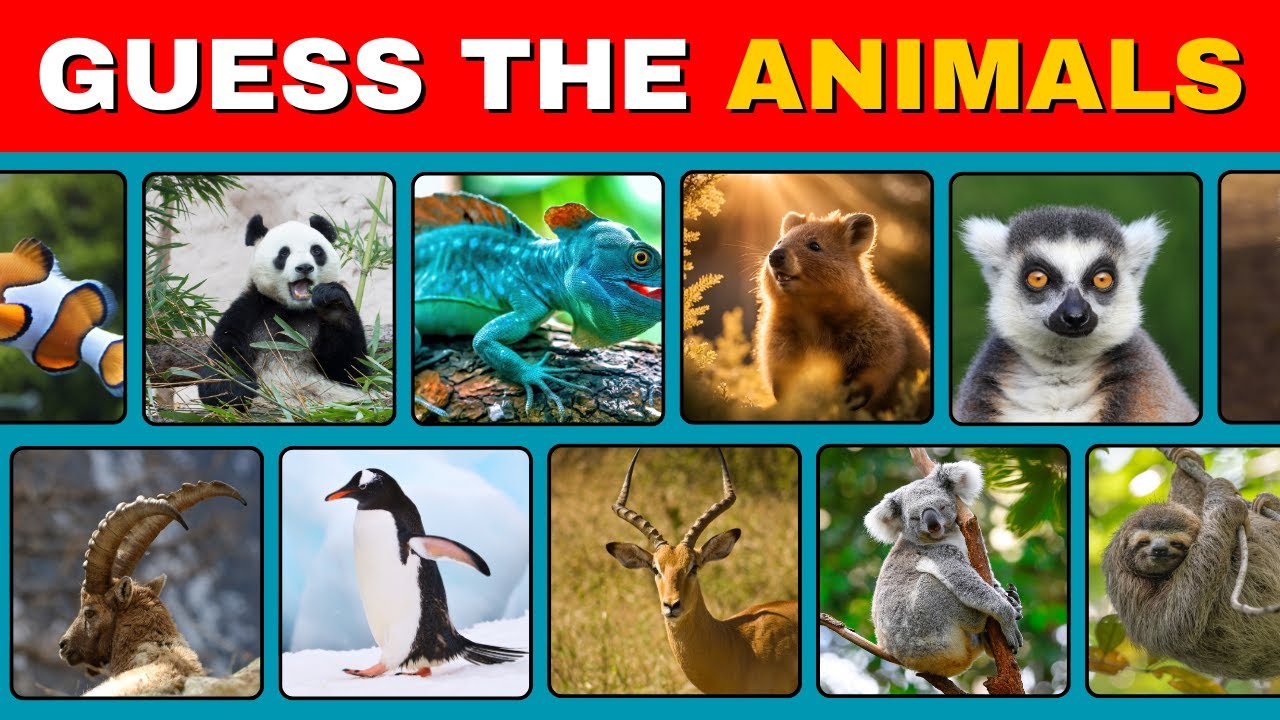 Guess The Animals In 5 Secs | Impossible Level - YouTube