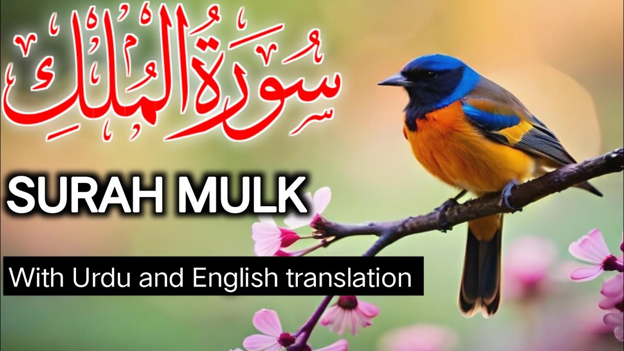 The Power of Surah Mulk Unveiled||Surah Mulk| Sureh Mulk | Beautiful ...