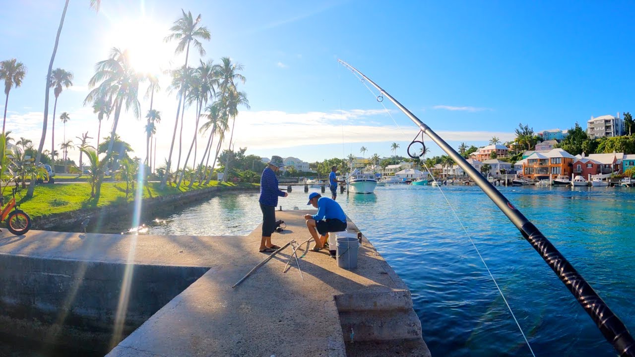 FINALLY BACK FISHING on the Beautiful Island of BERMUDA | 2023 - YouTube