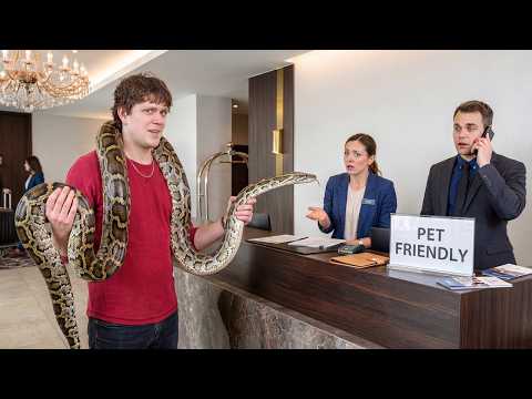 I Tested 'PET FRIENDLY' Hotels With Dangerous Animals