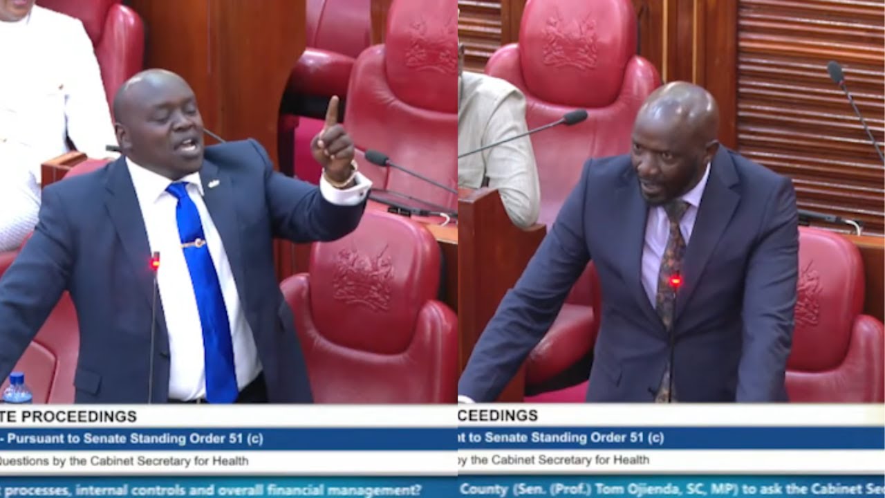 ''SYCOPHANT!'' Drama as Gachagua's ally Senator Nyutu clash with ...