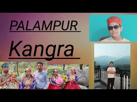 Going to Palampur Kangra Himachal pradesh 