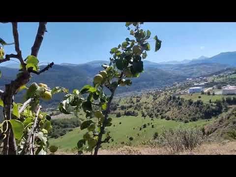 Posof pantasi Al köyü Posof Hırami 