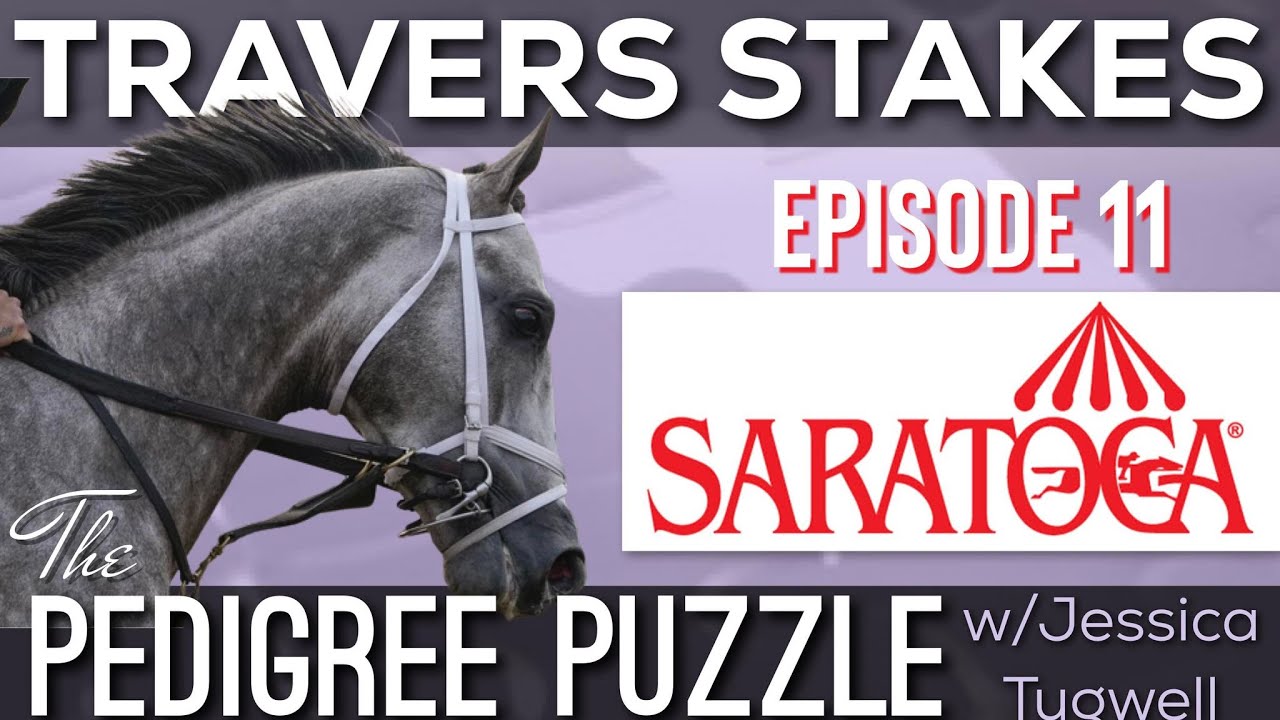 The Pedigree Puzzle - TRAVERS STAKES PREVIEW AND PEDIGREE ANALYSIS ...
