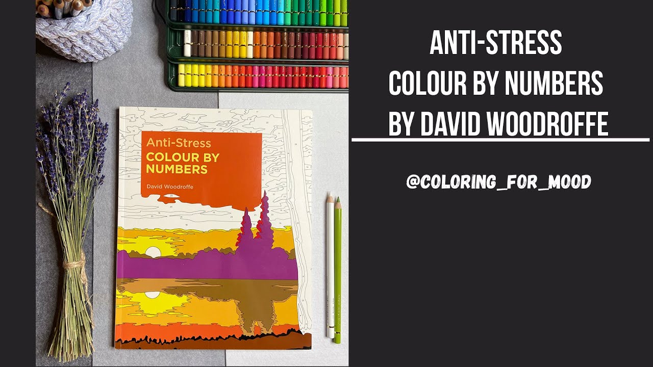 Anti-Stress Colour by Numbers by David Woodroffe | Book Flip Through ...