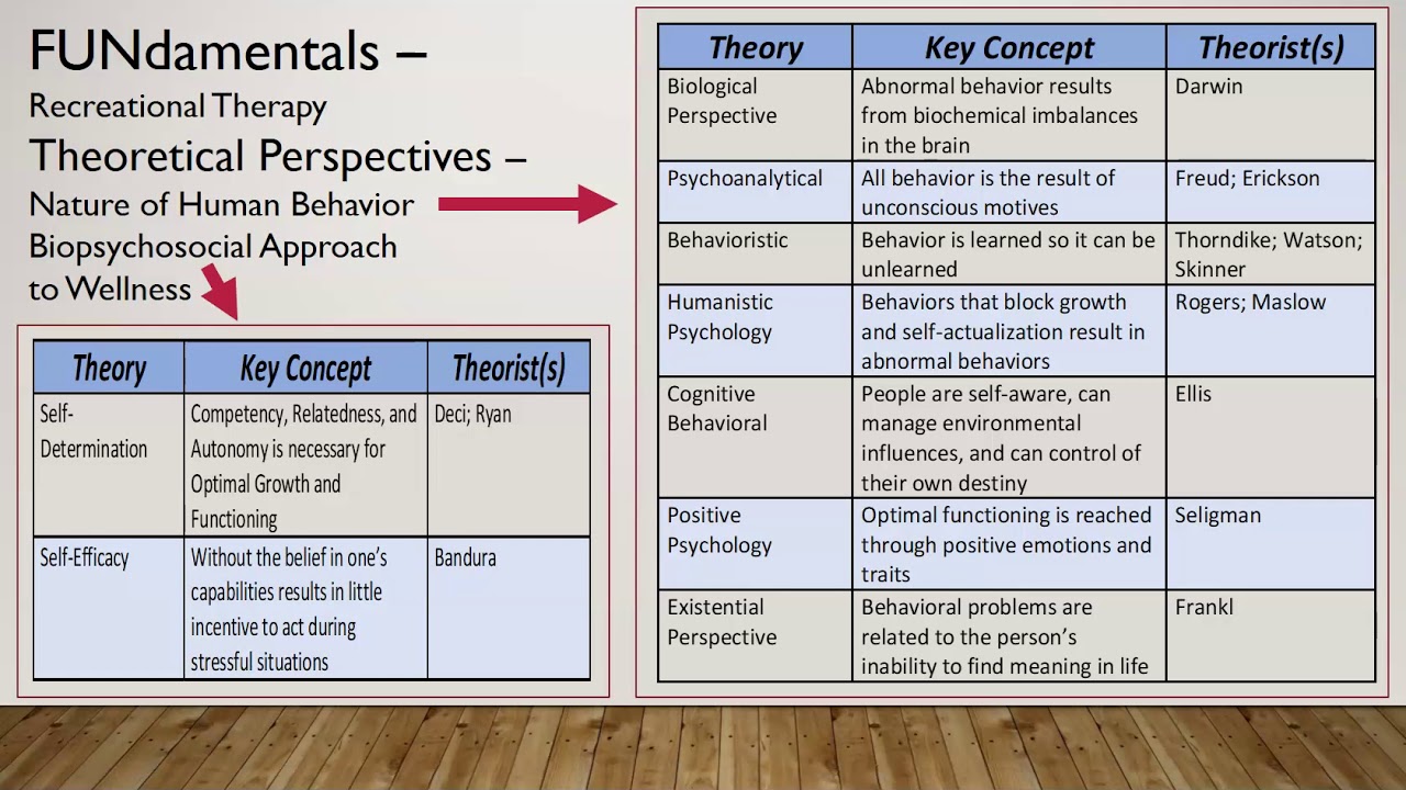 Module 6 FUNdamentals Theoretical Perspectives - YouTube