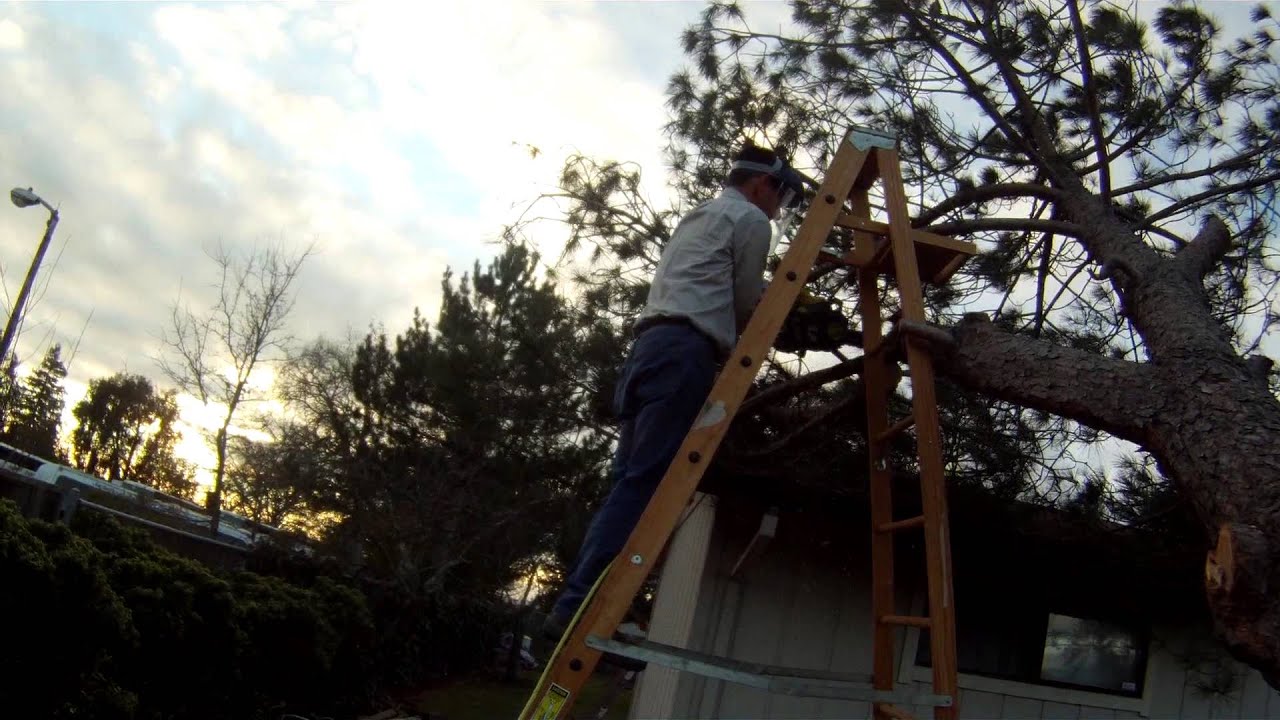 Cutting down the tree that fell on our house (January 2012) - YouTube