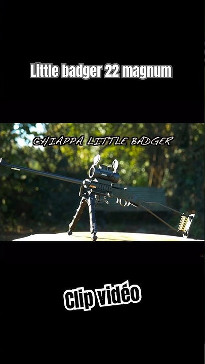 Chiappa little badger 22 magnum CLIP - YouTube