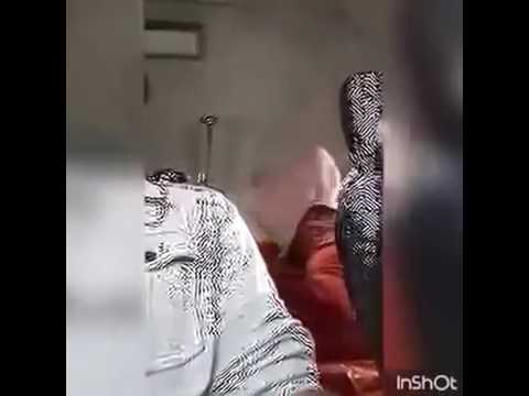 Точик зан Саги дузахт