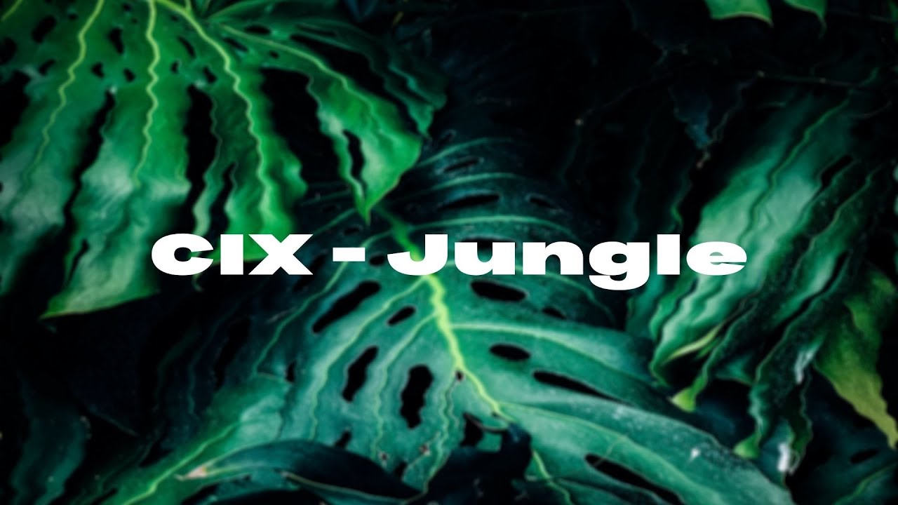 [vOcaL coVEr] CIX (씨아이엑스) - 정글 Jungle Cover (unBeliEVableEEeEe~~) - YouTube