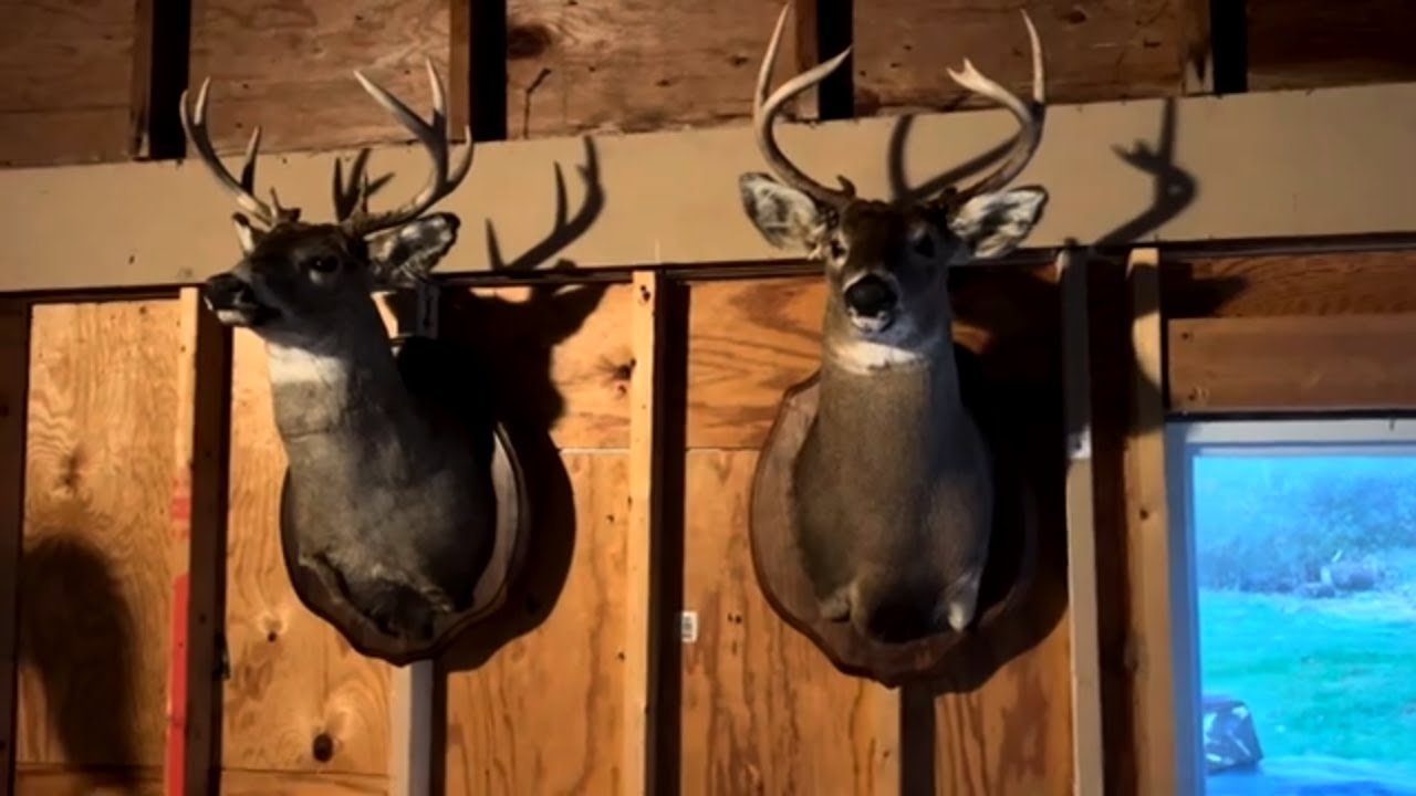 Gear Up For Epic 2023 Deer Hunting Trip With Bass Pro! Watch As Small ...
