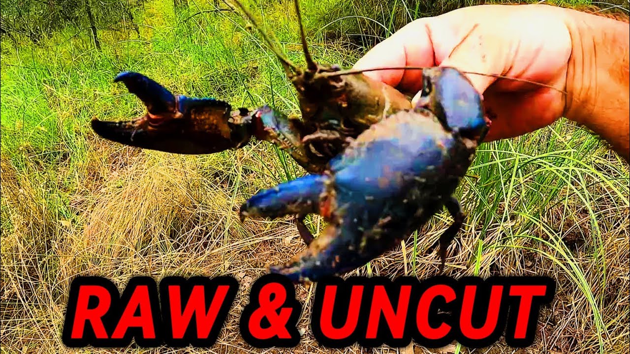 Raw & UNCUT Girls Catch MASSIVE CRAYFISH !!! - YouTube