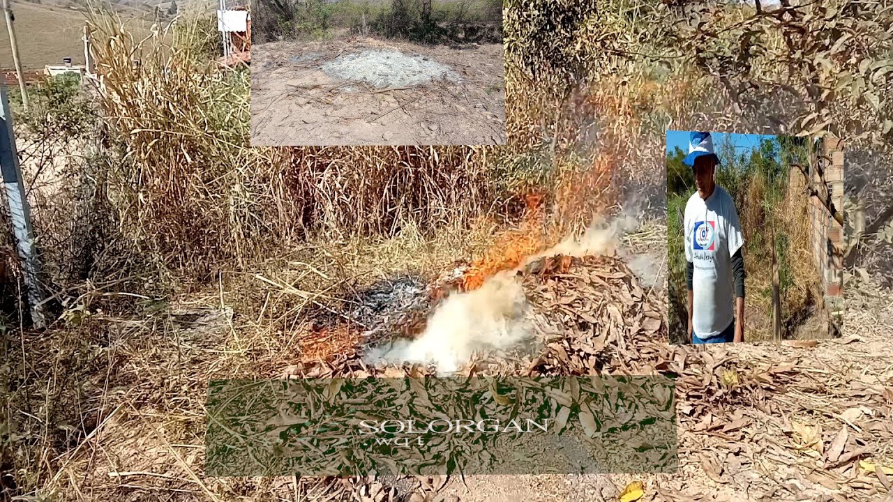 Queima de madeira. as cinza como adubo corretivo para o solo - YouTube