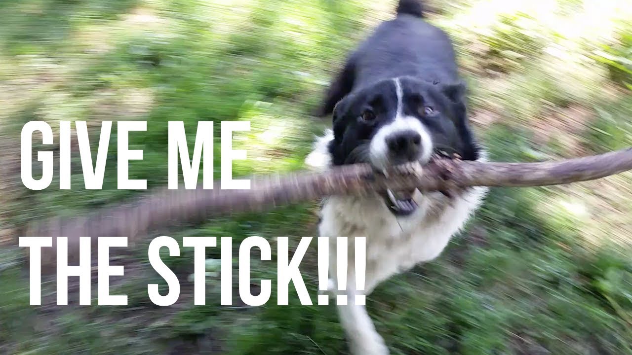GIVE ME THE STICK!!! - YouTube