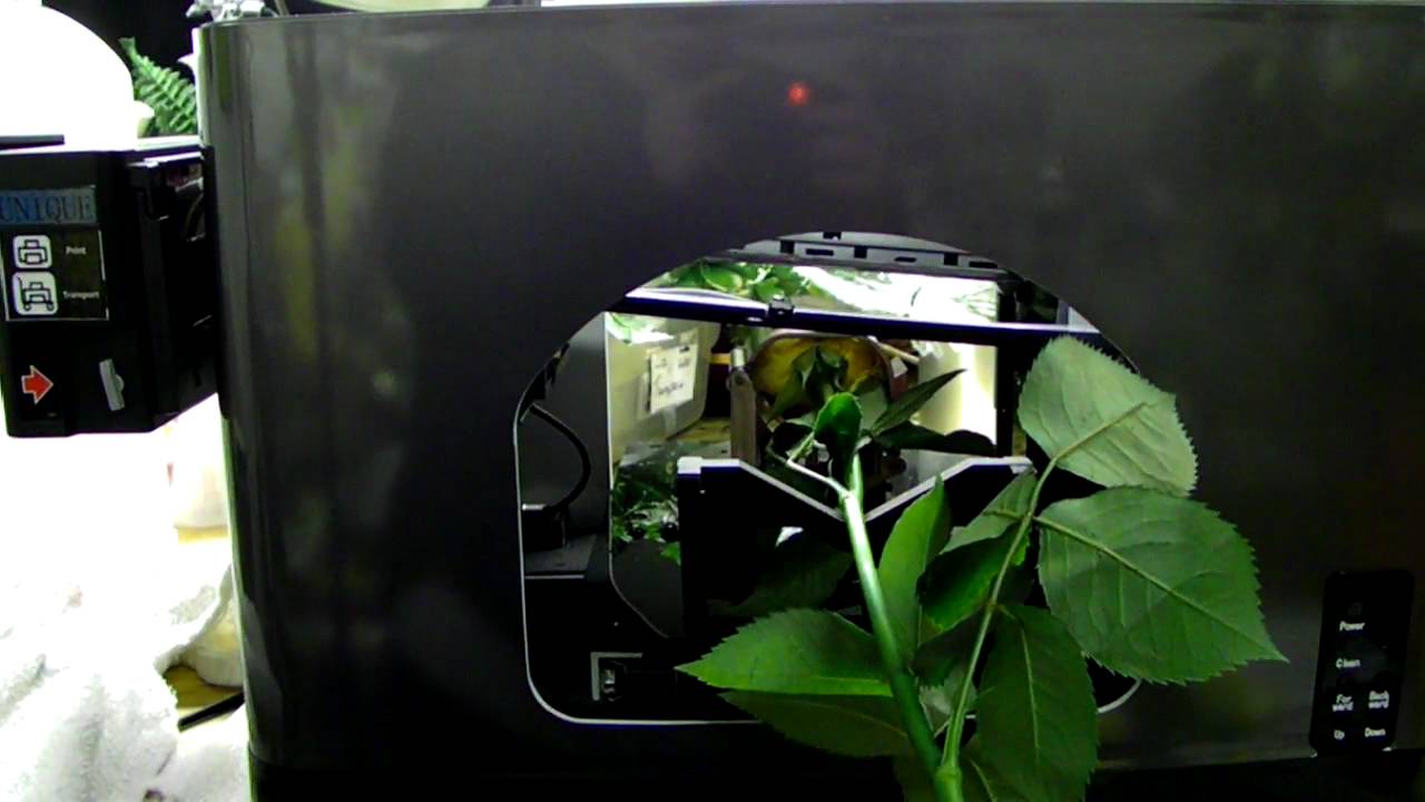 Red Rose Printer - YouTube