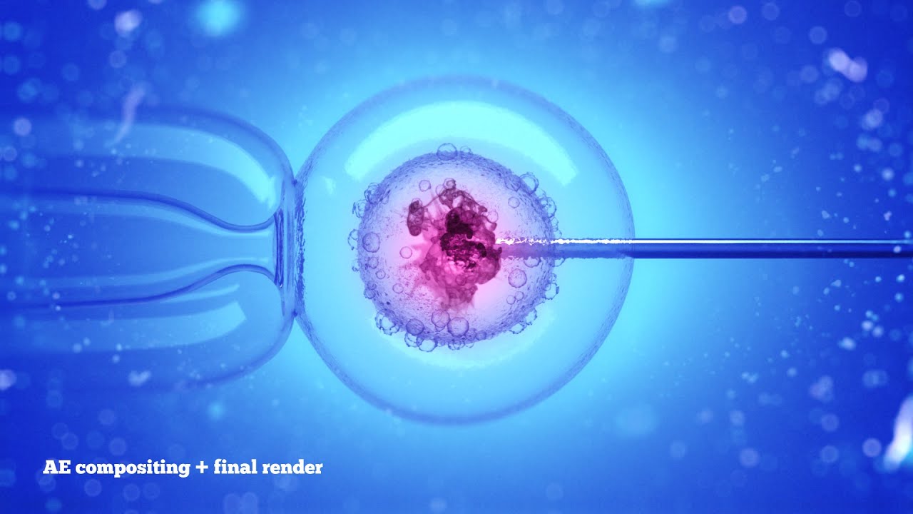 PRONUCLEAR injection - 3D animation - YouTube