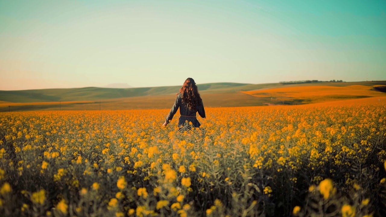 Very nice video - YouTube