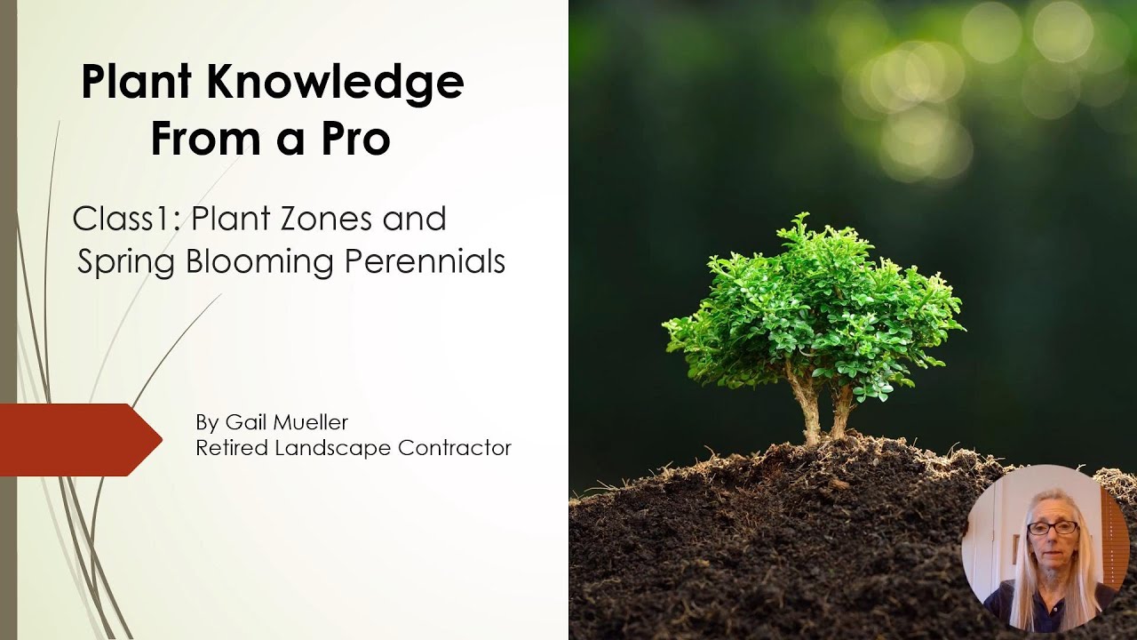 Plant Knowledge from a Pro: Class 1, Spring Perennials - YouTube