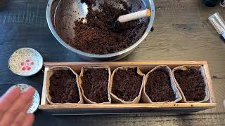 ROOTCRAFT Indoor Herb Garden Kit Review – Grow Fresh Herbs in Your Kitchen! #ad
