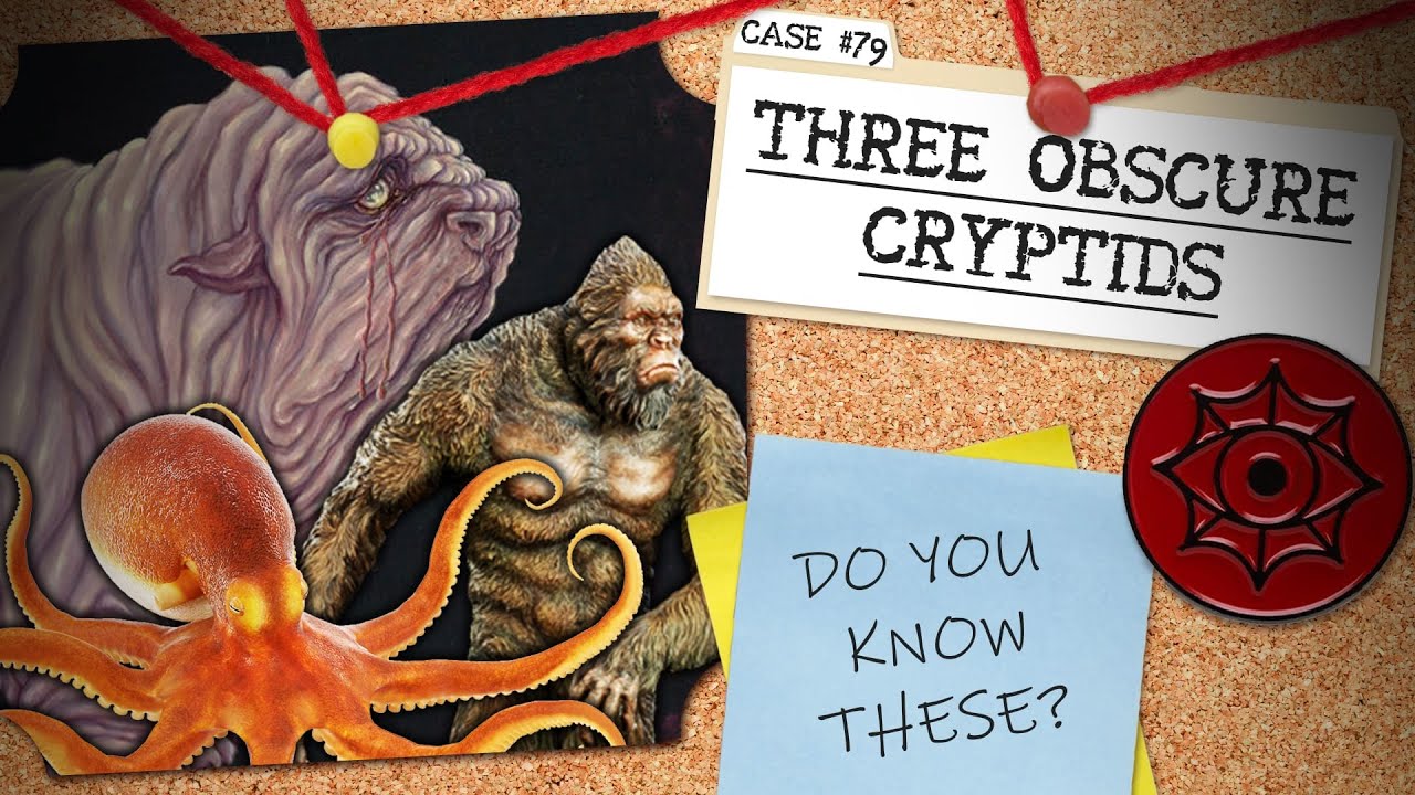 Cryptids You've Never Heard About | Three Obscure Cryptids - YouTube