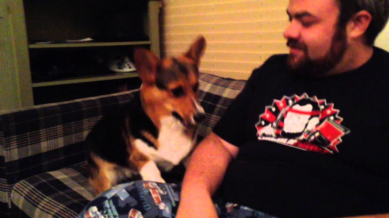 How Riley tells us he's hungry - YouTube