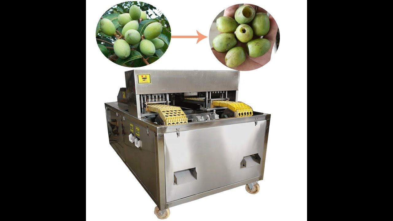 olive pitting machine for sale - YouTube