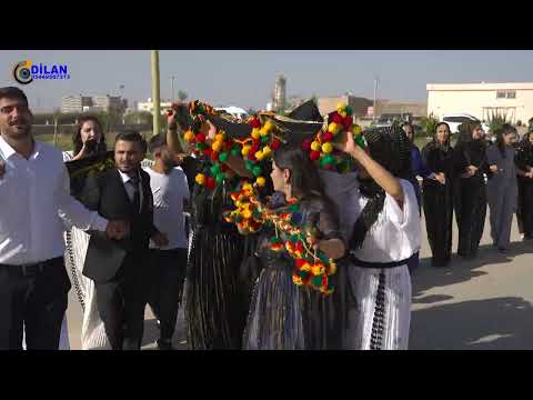 Zeynep & Mehmet düğün DVD DVD 01