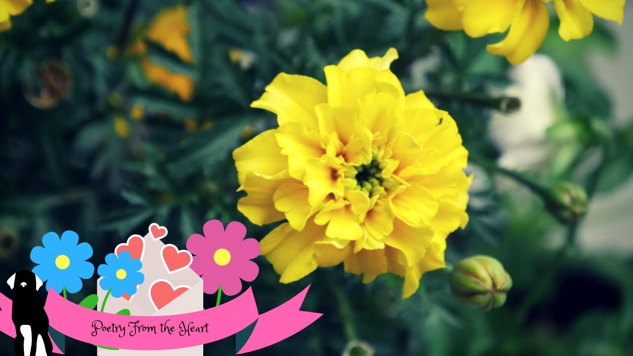 Hope Acrostic 1 - YouTube