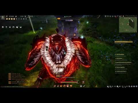 BDO- Dark Rift : Ahib Griffon - Guardian Awakening 233 AP - YouTube