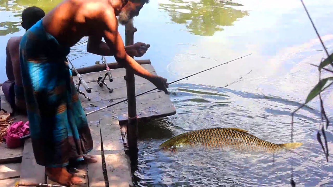Wow!! Very Nice Amazing Best Fish Catching Awesome Real Hook Fishing ...