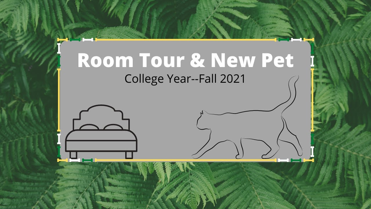 Dorm Room Tour & New Pet ~College Year--Fall 2021~ - YouTube
