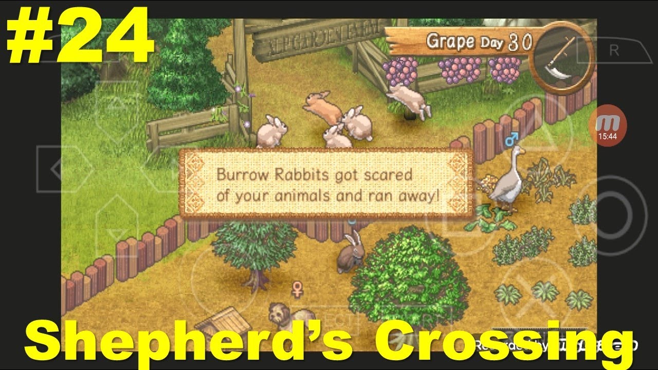 Shepherd's Crossing PSP Gameplay #24 Female Goat, Berry management ...