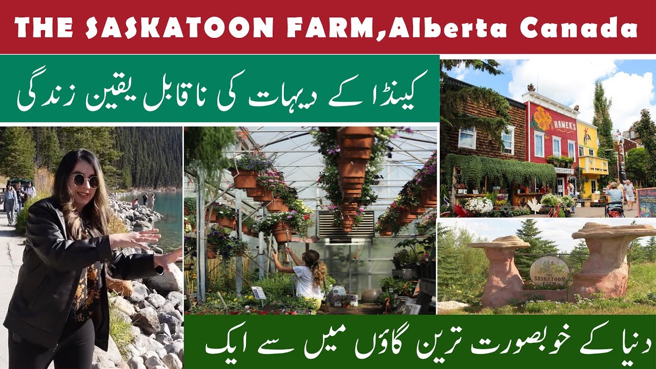Travel Guide Canada || The Saskatoon Farm Alberta Canada ...