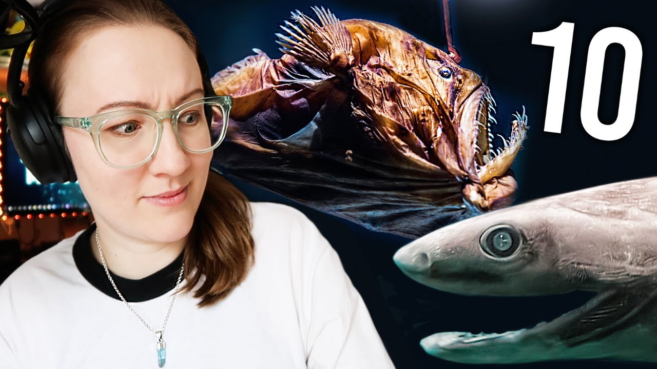 top 10 freakiest ocean creatures - YouTube