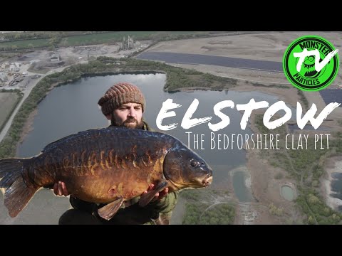 MONSTER PARTICLES TV.. SCOTT LARMAN ... ELSTOW