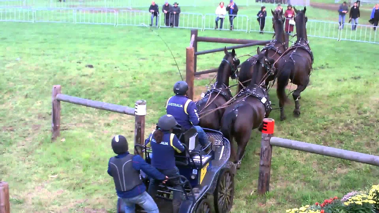 Gavin robson Obstacle 2 Breda 2015 - YouTube