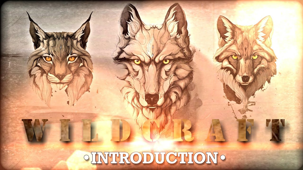 WildCraft Game Introduction - YouTube
