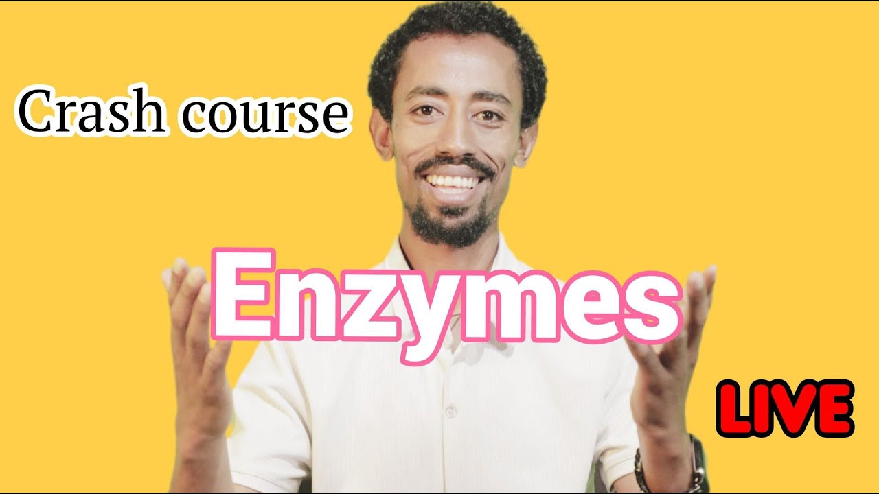 How Enzymes Work? | Live Biology Class - YouTube